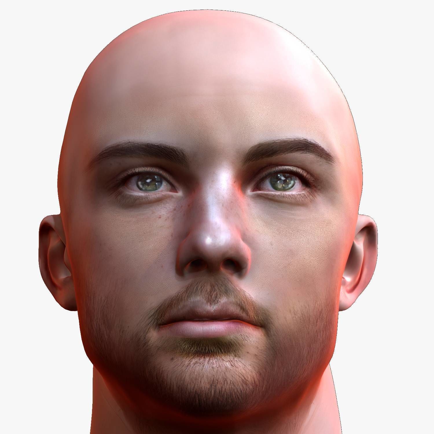 3D model Male head Realistic Perfect Head Low-poly 3D model game ready ...