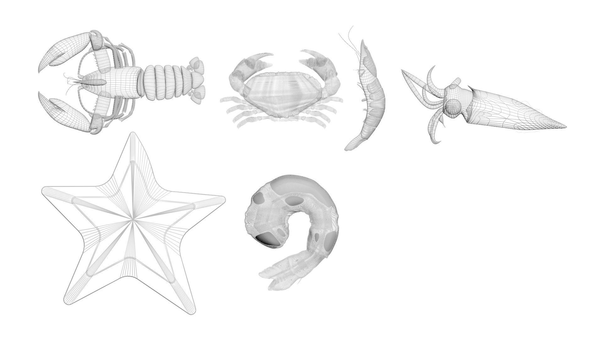 Sea Creatures Set 3D model | CGTrader