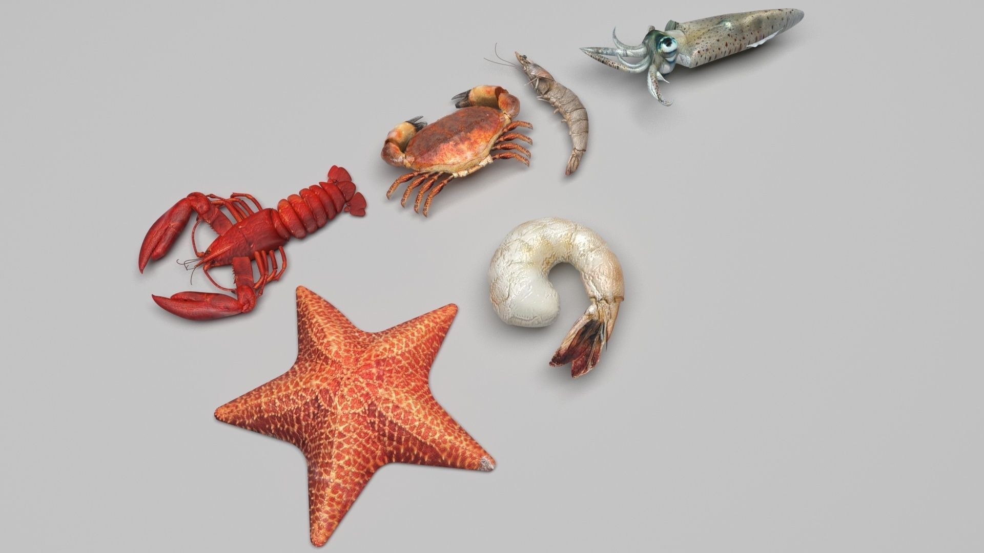 Sea Creatures Set 3D model | CGTrader