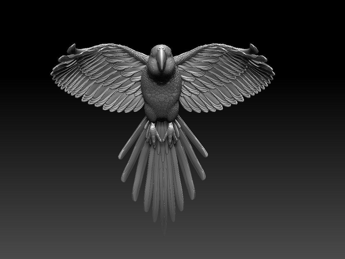 parrot flying in air 3D model 3D printable | CGTrader