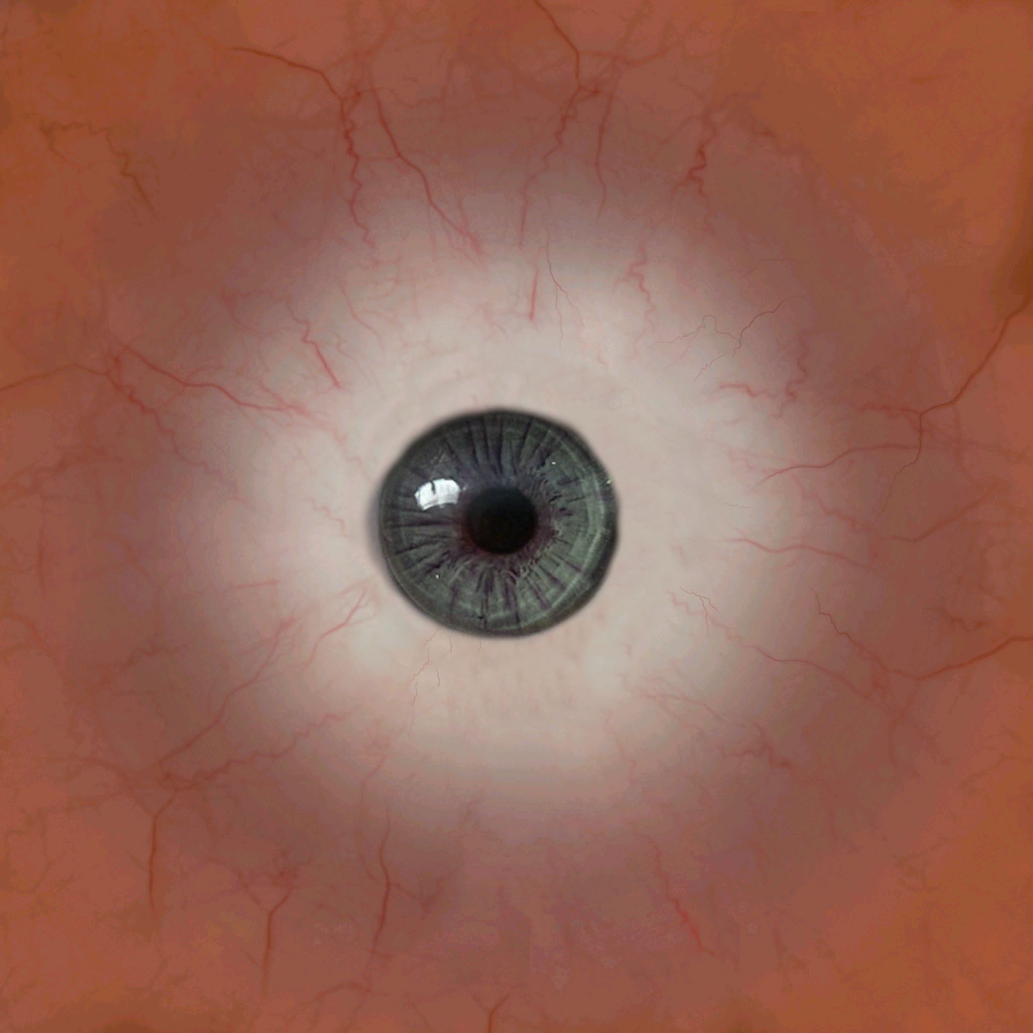 3D model Arnold Predator VR / AR / low-poly rigged | CGTrader