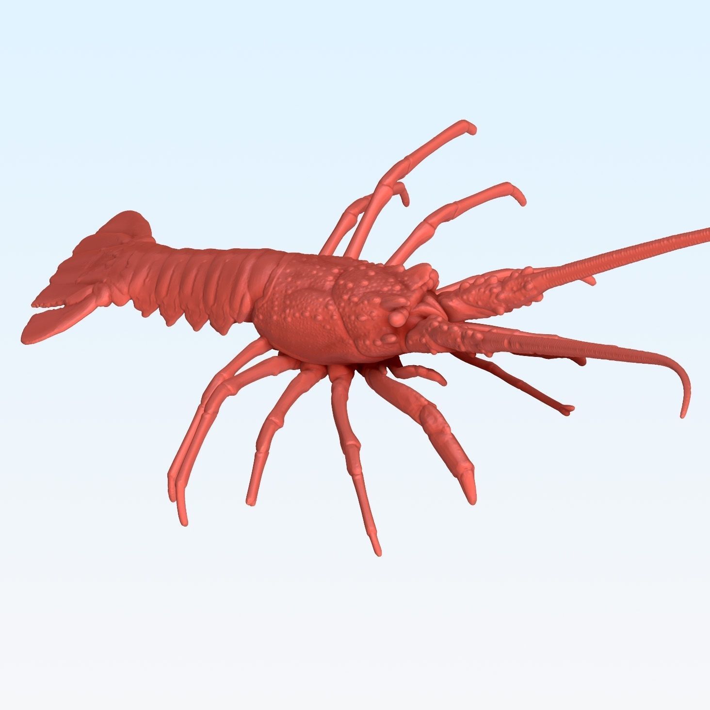 lobster free 3D model 3D printable | CGTrader