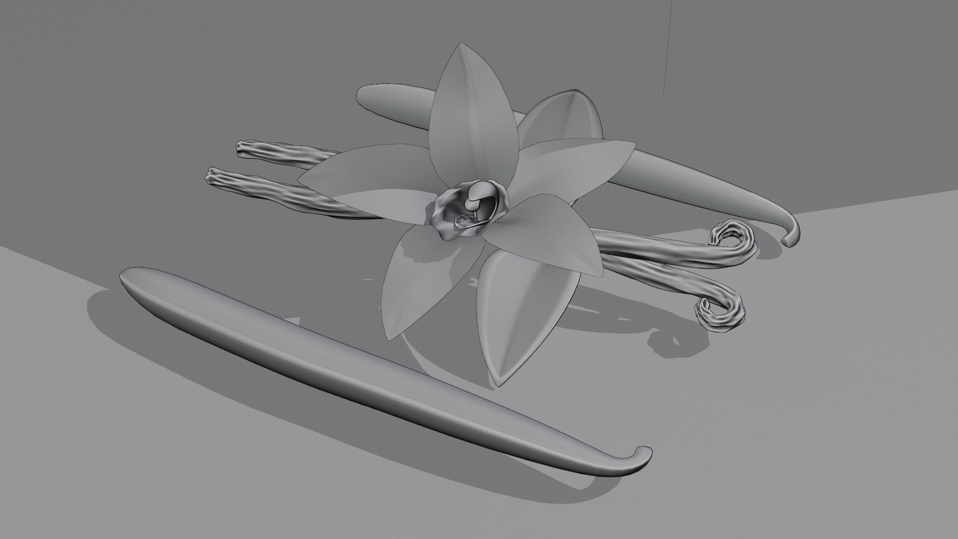 VANILLA FLOWER AND FRUIT 3D model | CGTrader