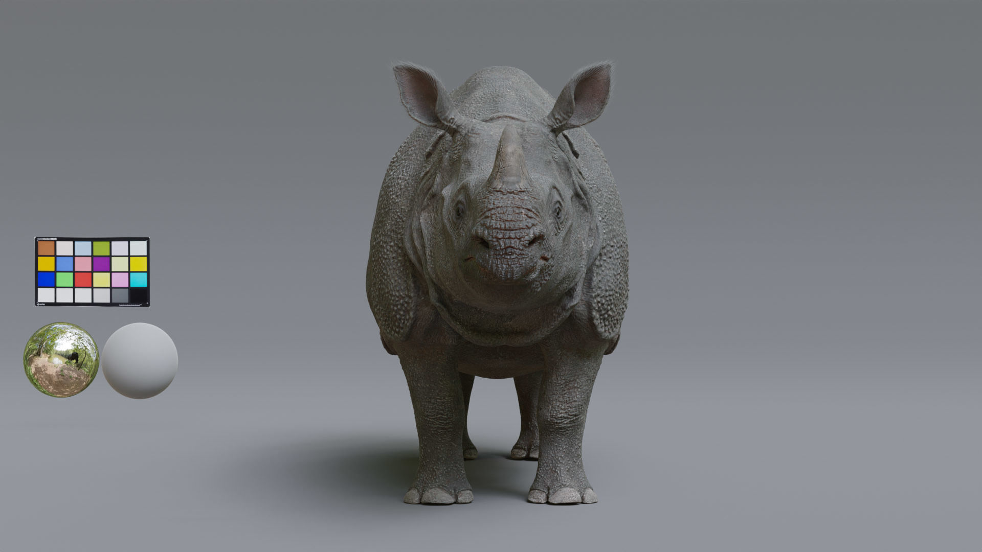 3D model indian rhino VR / AR / low-poly rigged | CGTrader