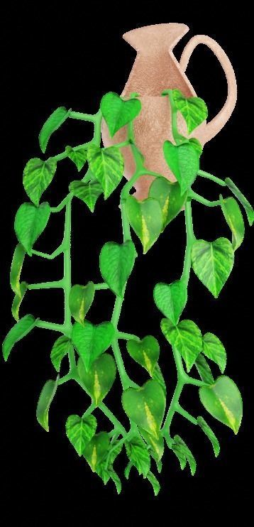 Falling plant 3D model | CGTrader