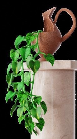 Falling plant 3D model | CGTrader