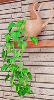 Falling plant 3D model | CGTrader