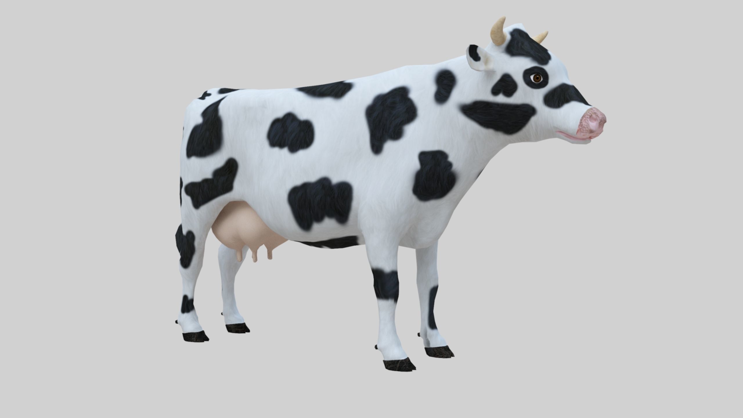 3D model Low Poly Holstein Cow Unwapped 4K VR / AR / low-poly | CGTrader