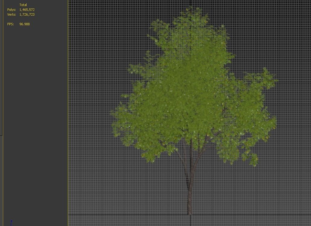 Honey locust 3D model | CGTrader
