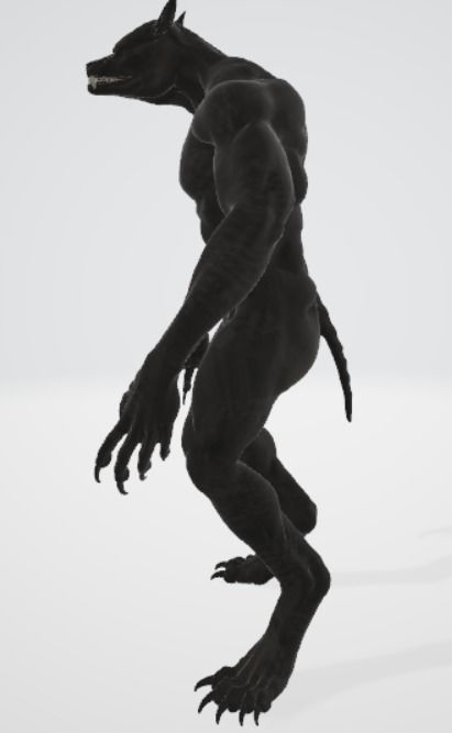 3D model Werewolf Boxing VR / AR / low-poly | CGTrader
