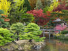Bundle 24 - Japanese Garden 3D model | CGTrader