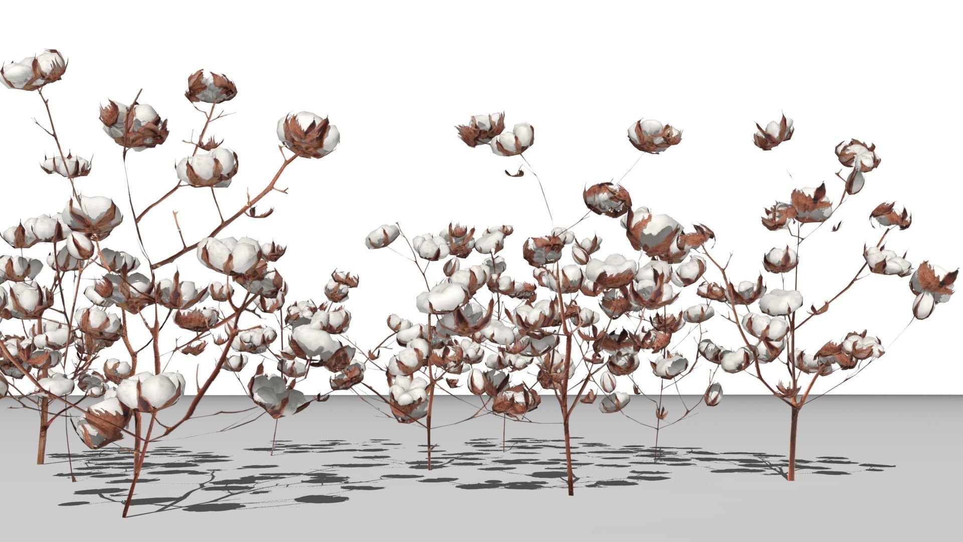 3D model Cotton plantation VR / AR / low-poly | CGTrader