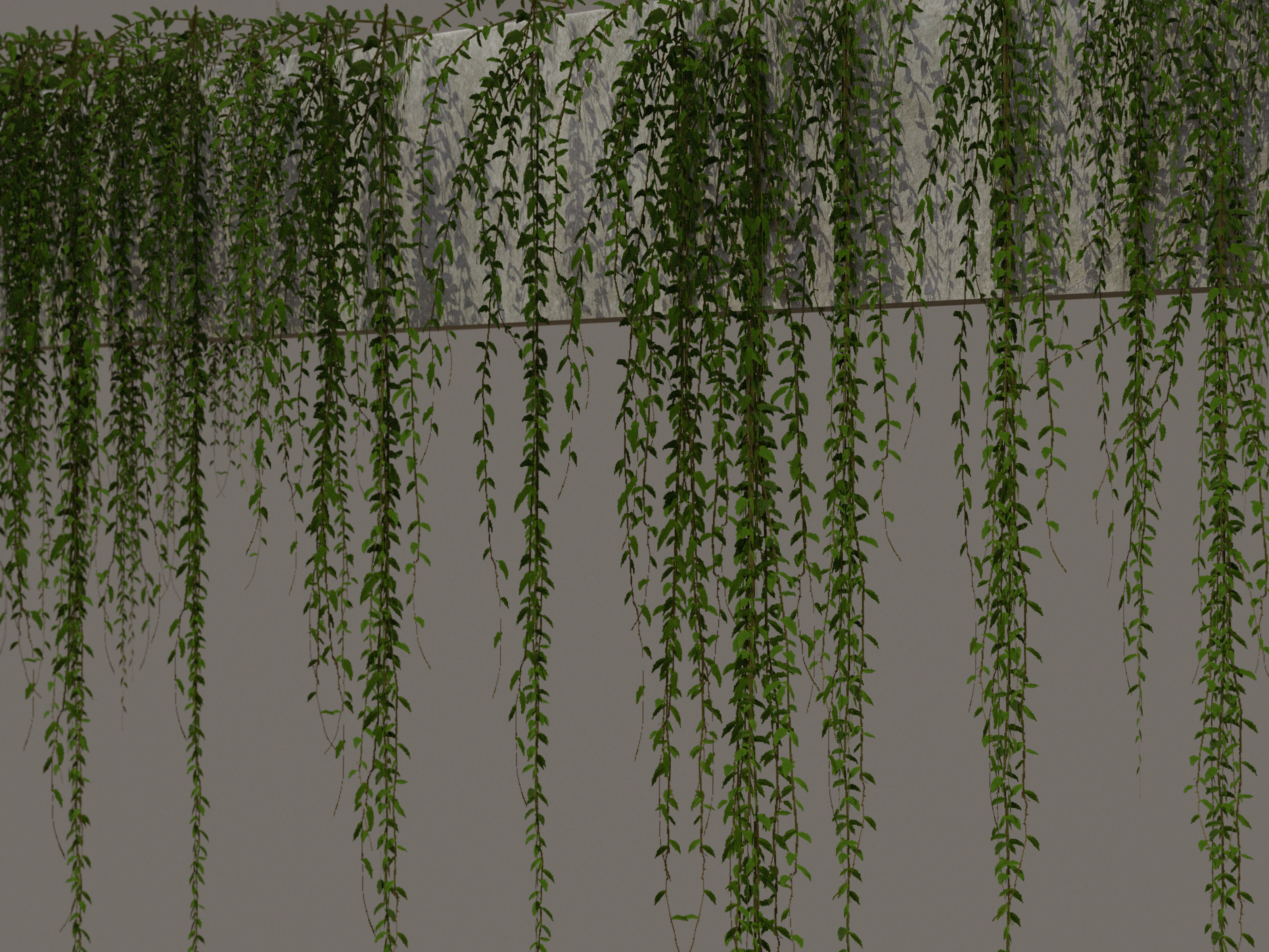 3D model Nature Assets - Curtain Creepers VR / AR / low-poly | CGTrader