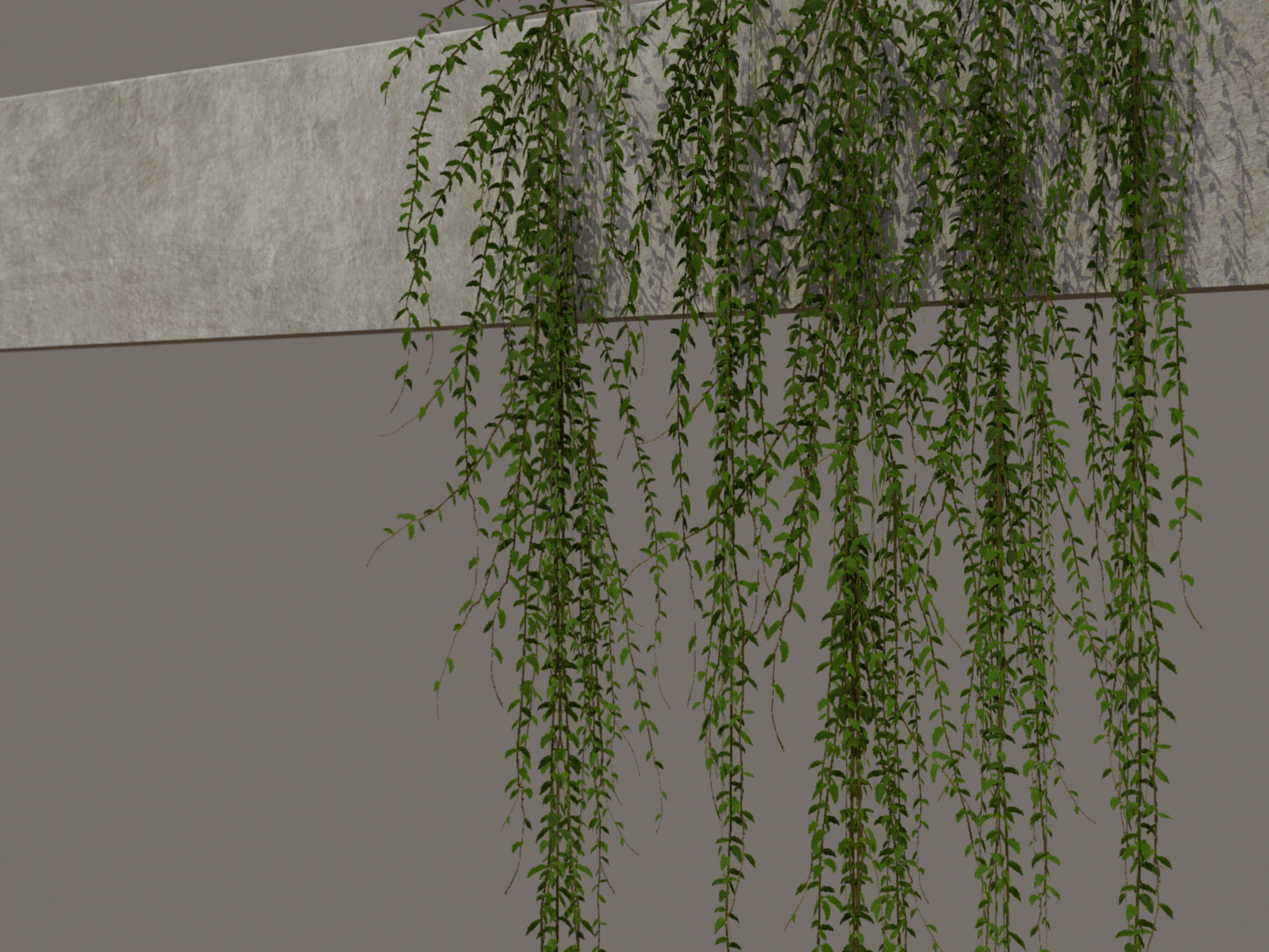 3D model Nature Assets - Curtain Creepers VR / AR / low-poly | CGTrader