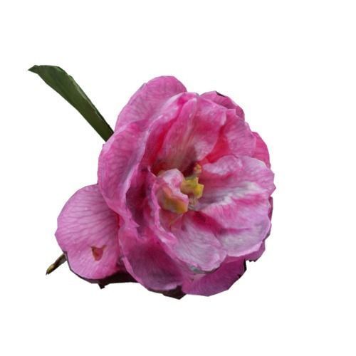 Pink Flower Garden Plant 3D model 3D model | CGTrader