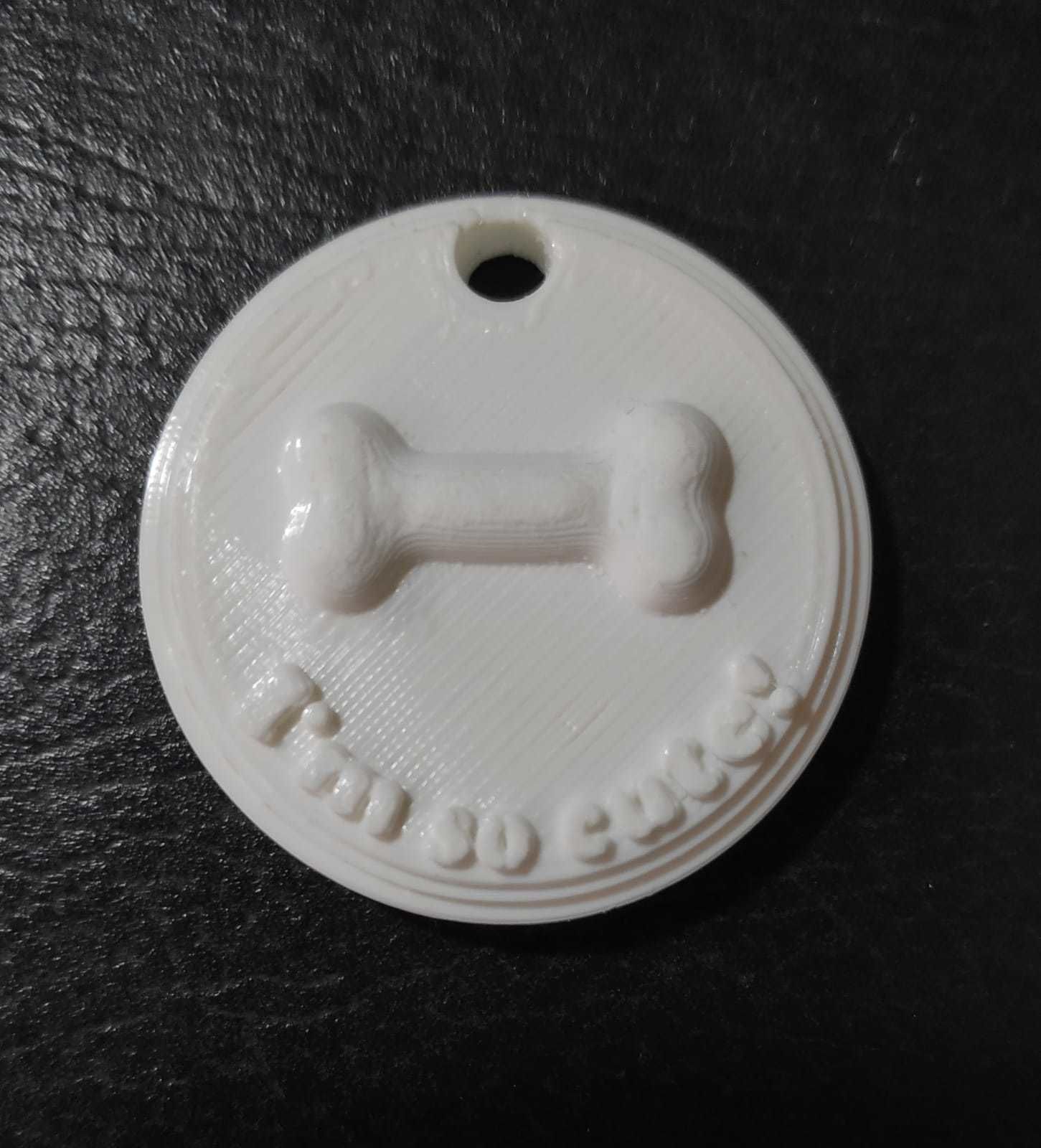 Dog Bone Tag 3D model 3D printable | CGTrader