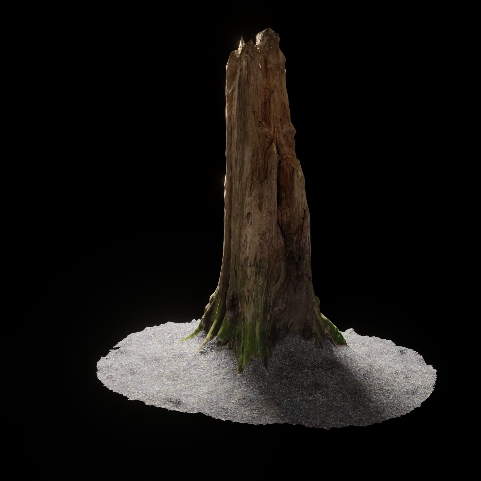 Forest Tree Stump 4K -Part11- free VR / AR / low-poly 3D model | CGTrader