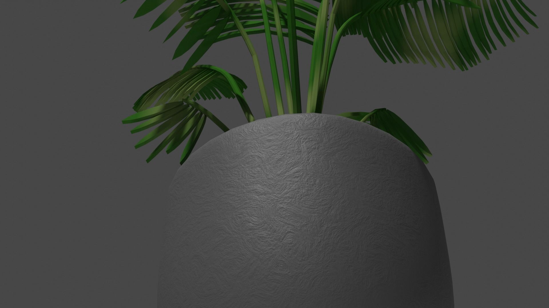 Plant 3D model | CGTrader
