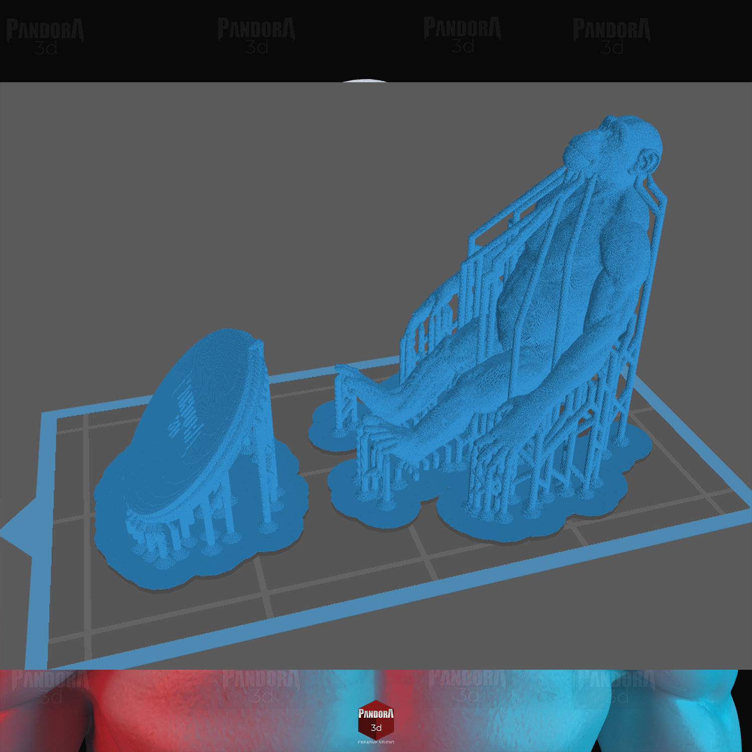 Monkey anatomy to print 3D model 3D printable | CGTrader