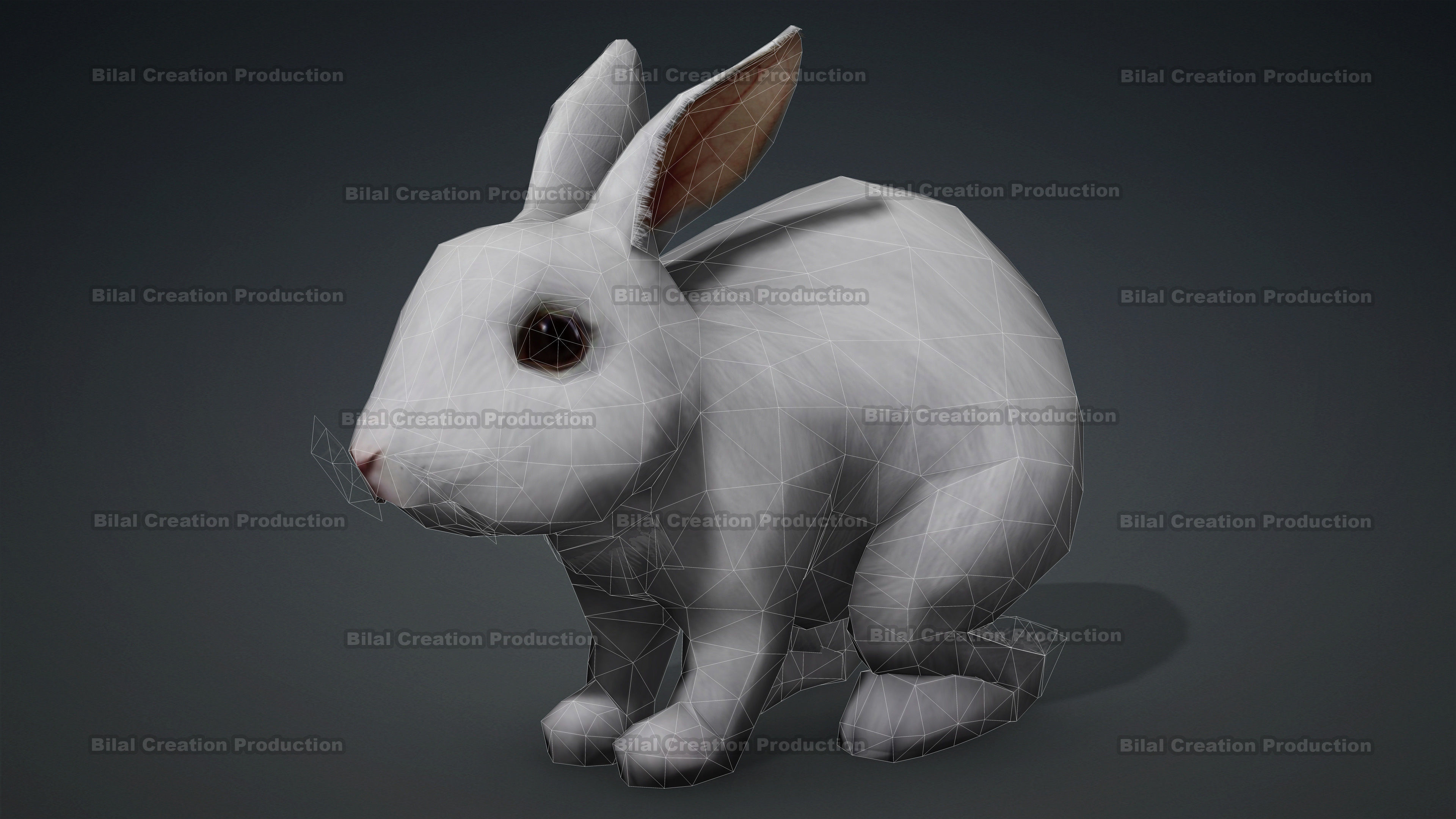 3D model WHITE RABBIT ANIMATED VR / AR / low-poly | CGTrader