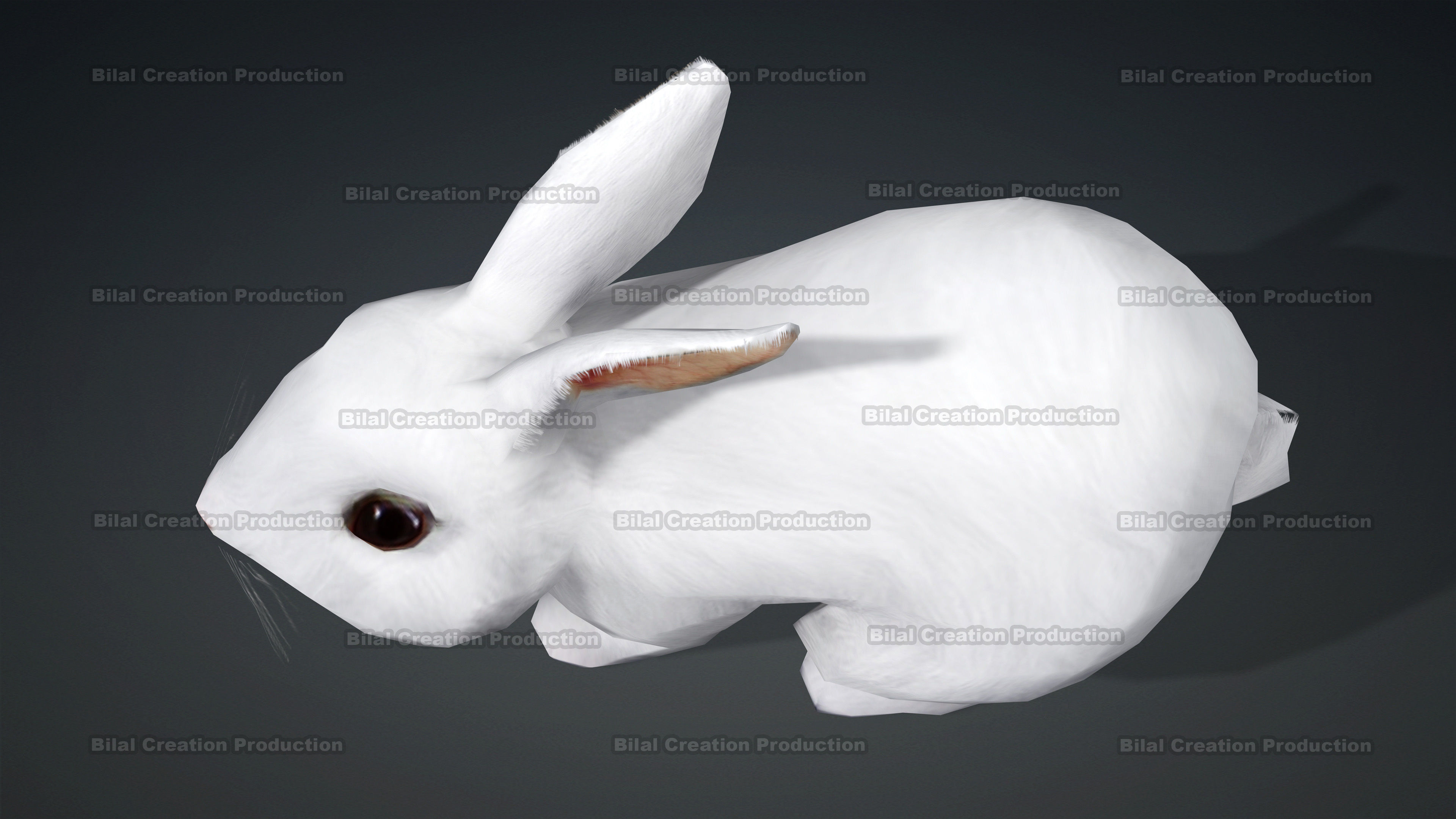 3D model WHITE RABBIT ANIMATED VR / AR / low-poly | CGTrader