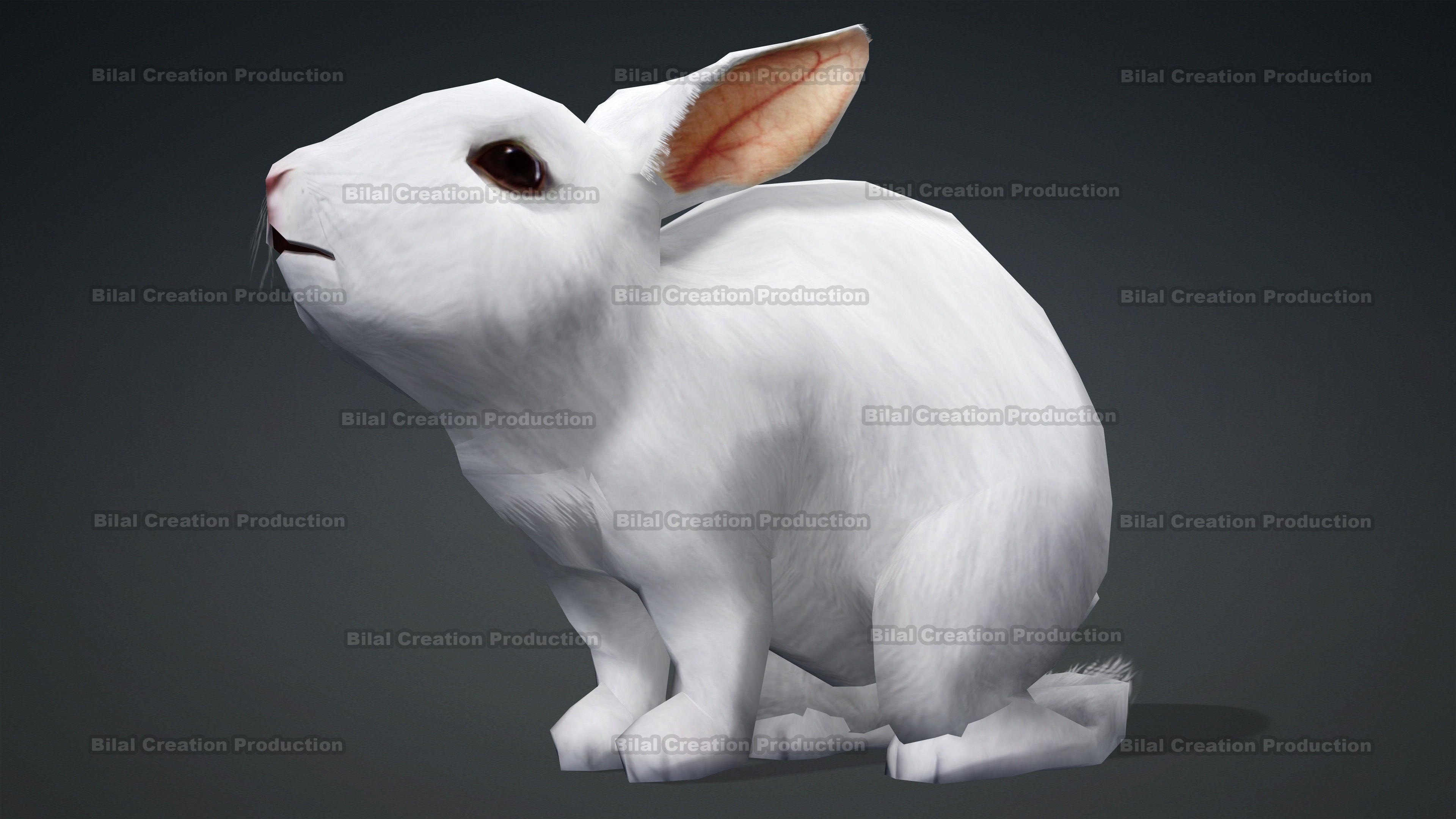 3D model WHITE RABBIT ANIMATED VR / AR / low-poly | CGTrader