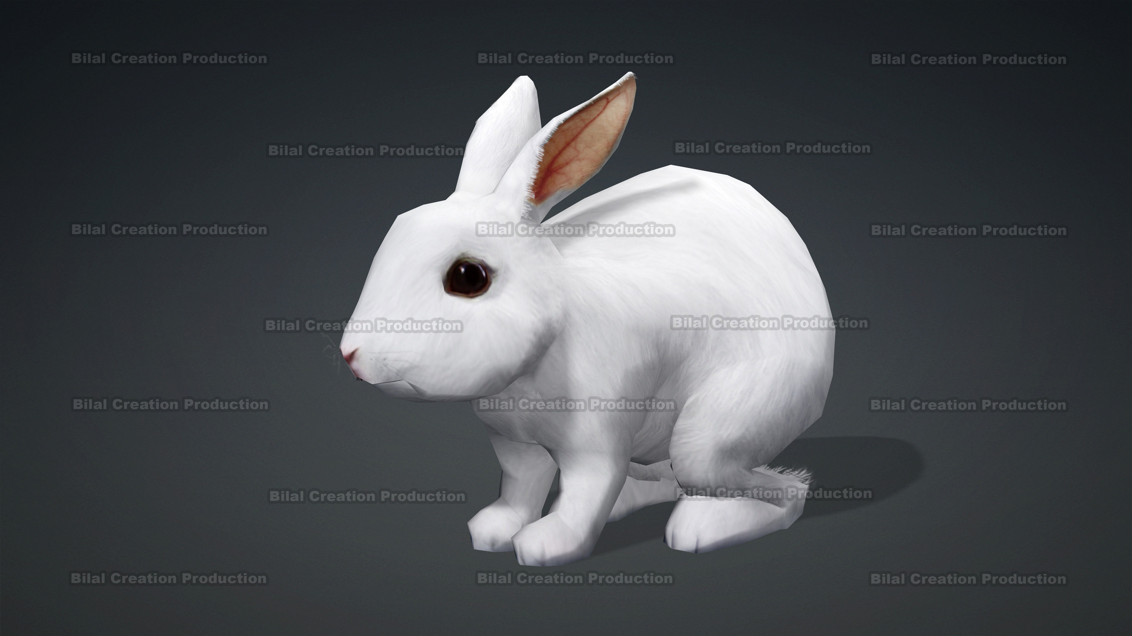 3D model WHITE RABBIT ANIMATED VR / AR / low-poly | CGTrader