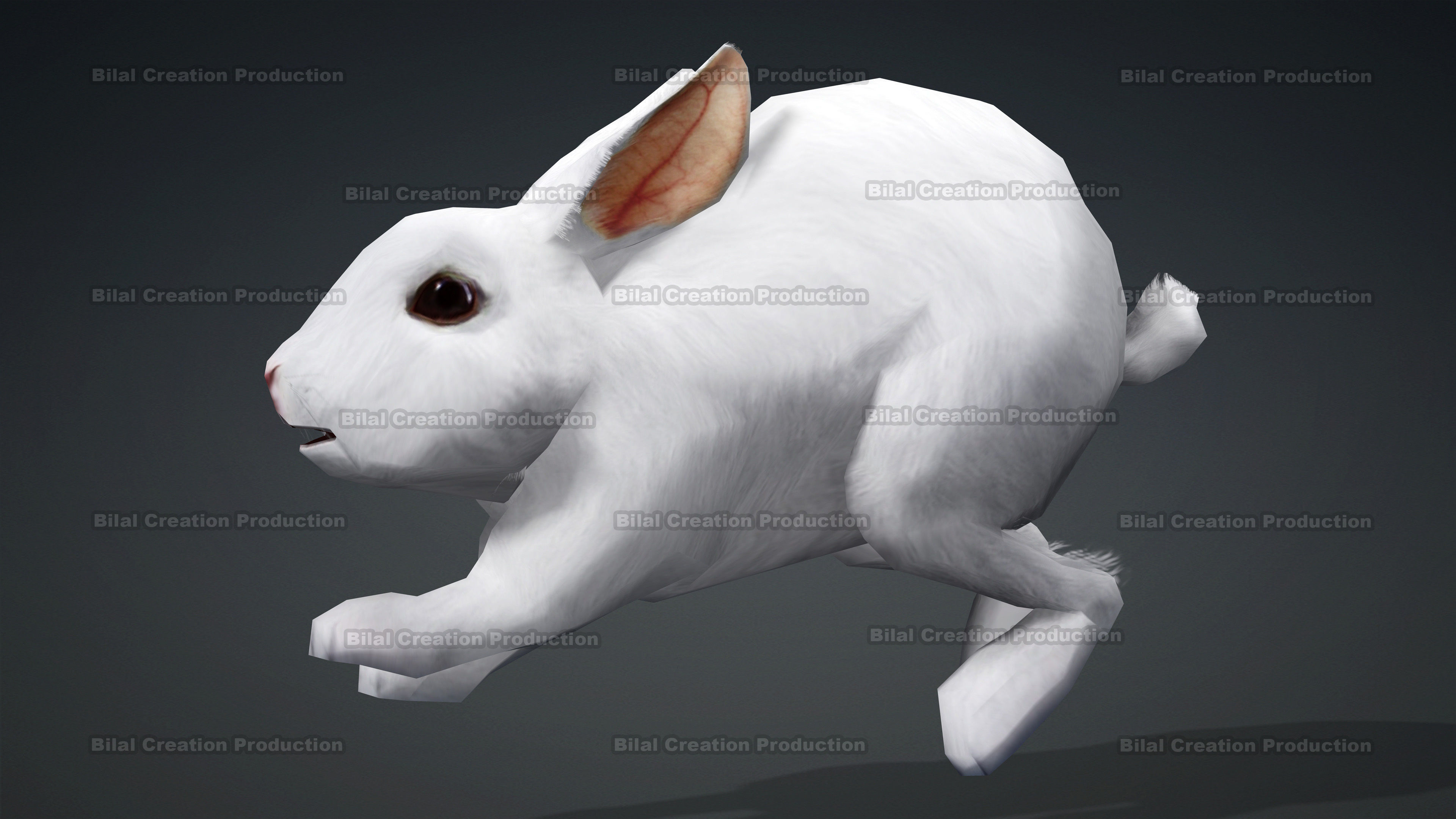 3D model WHITE RABBIT ANIMATED VR / AR / low-poly | CGTrader