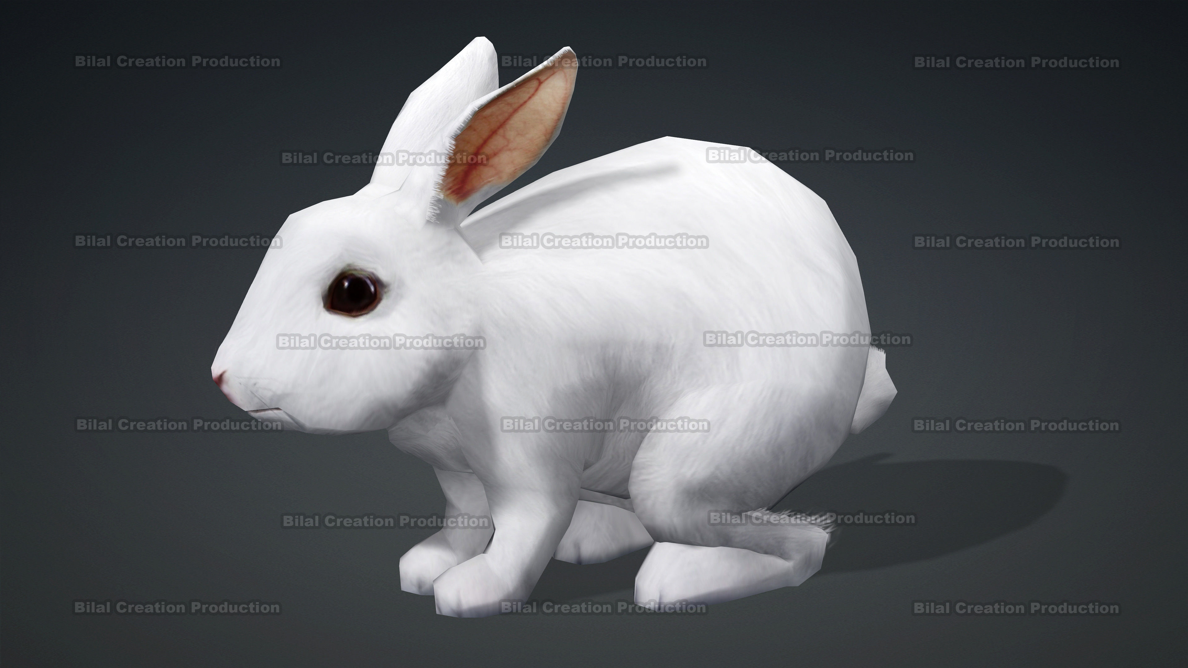 3D model WHITE RABBIT ANIMATED VR / AR / low-poly | CGTrader