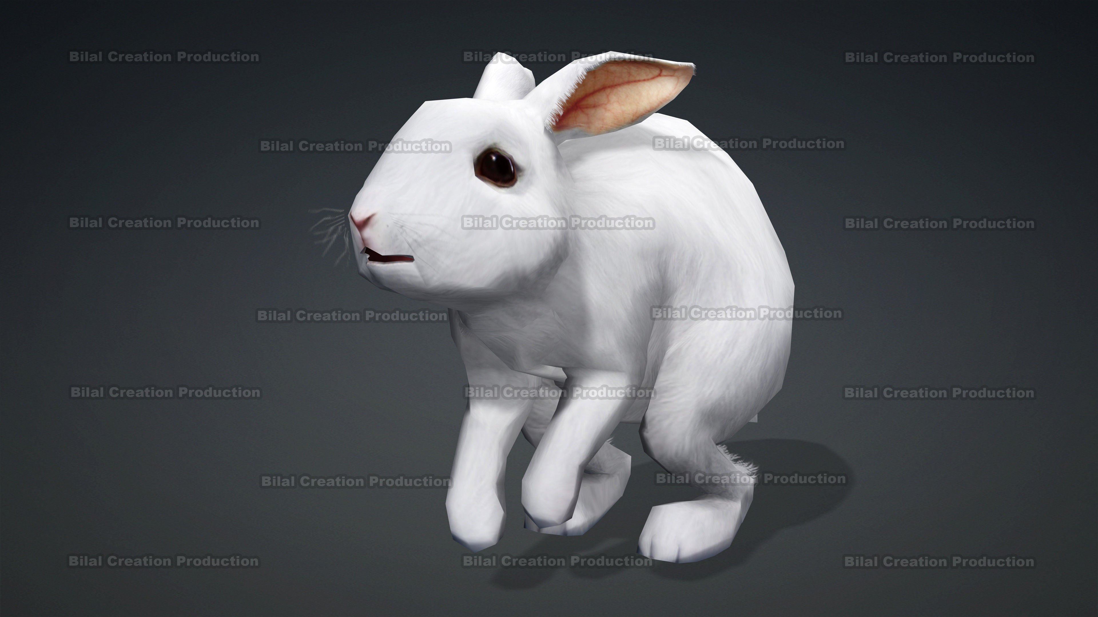 3D model WHITE RABBIT ANIMATED VR / AR / low-poly | CGTrader