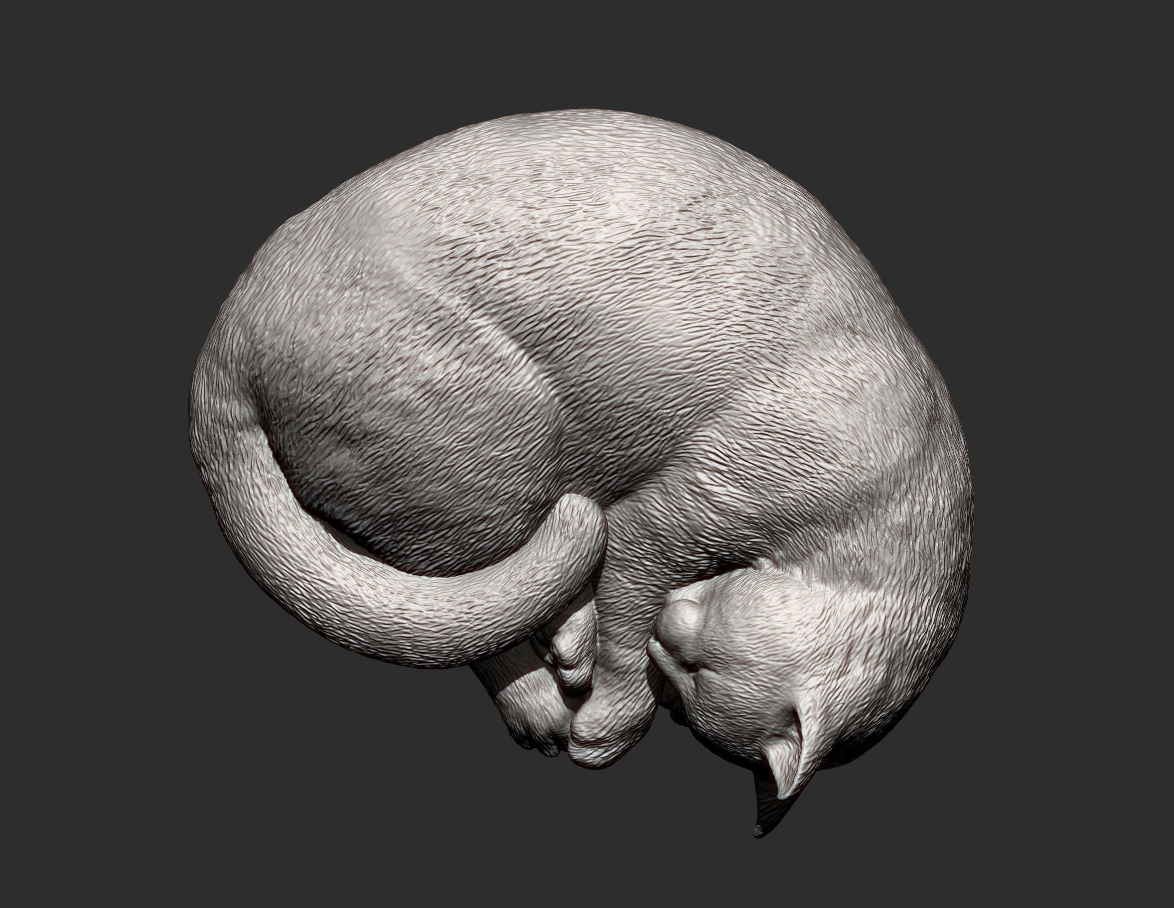 sleeping cat 3D model 3D printable | CGTrader