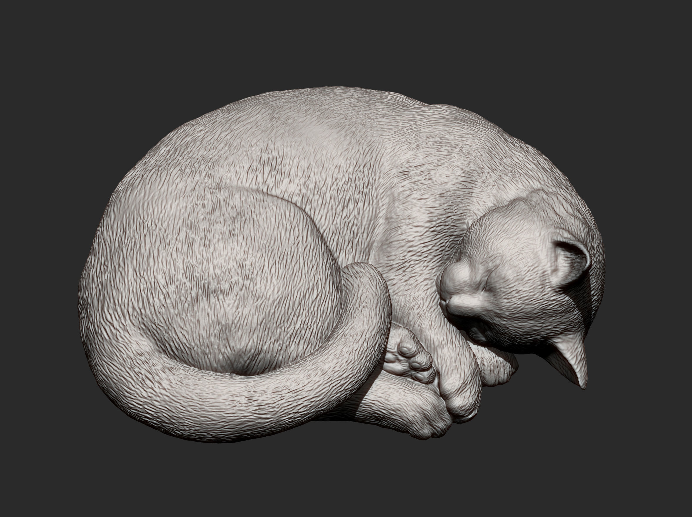 sleeping cat 3D model 3D printable | CGTrader