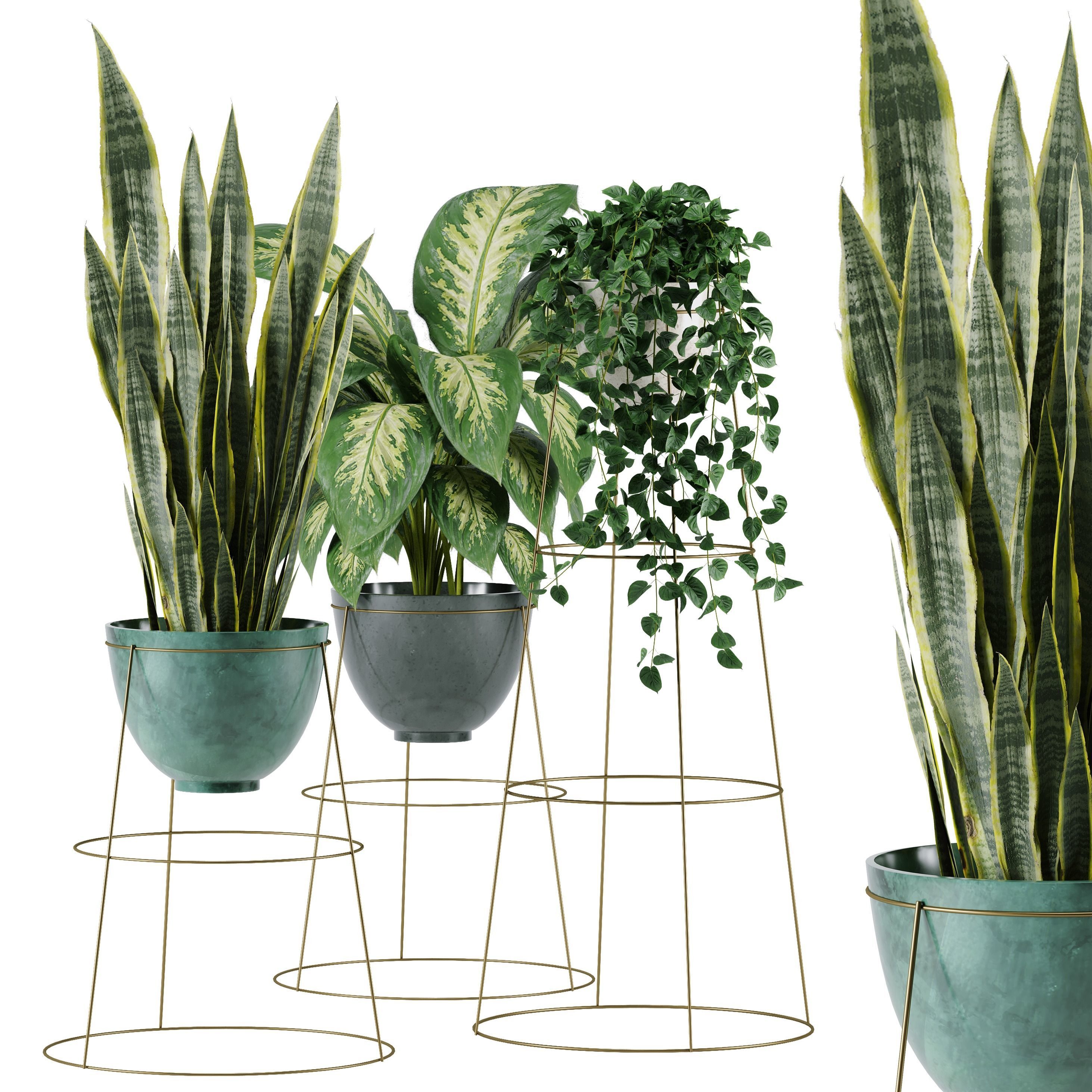 Indoor Plants set 17 3D model | CGTrader