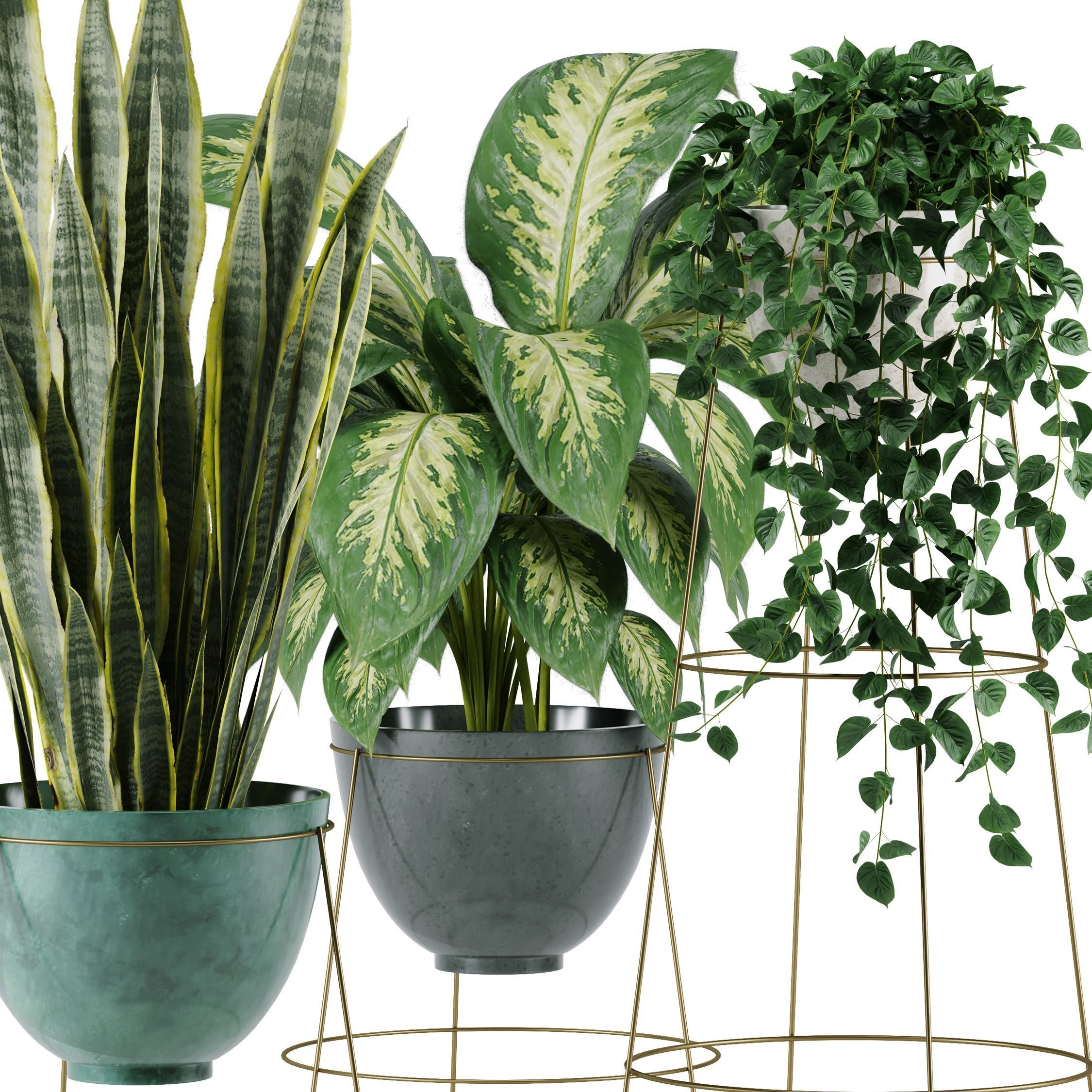 Indoor Plants set 17 3D model | CGTrader