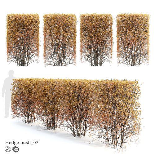 Hedge Bush 07 3D model | CGTrader