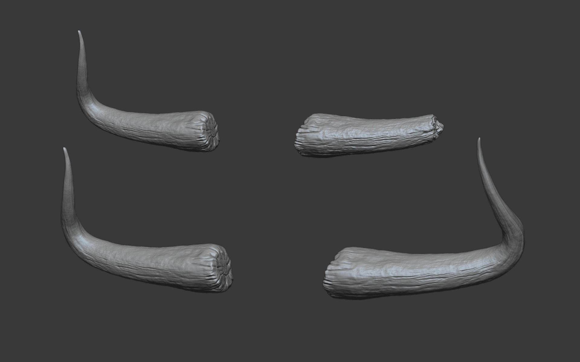 HORNS PACK volume 1 3D model | CGTrader