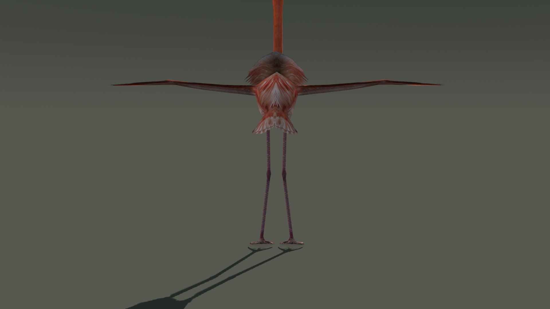 Flamingo Bird 3D Model 3D model rigged | CGTrader