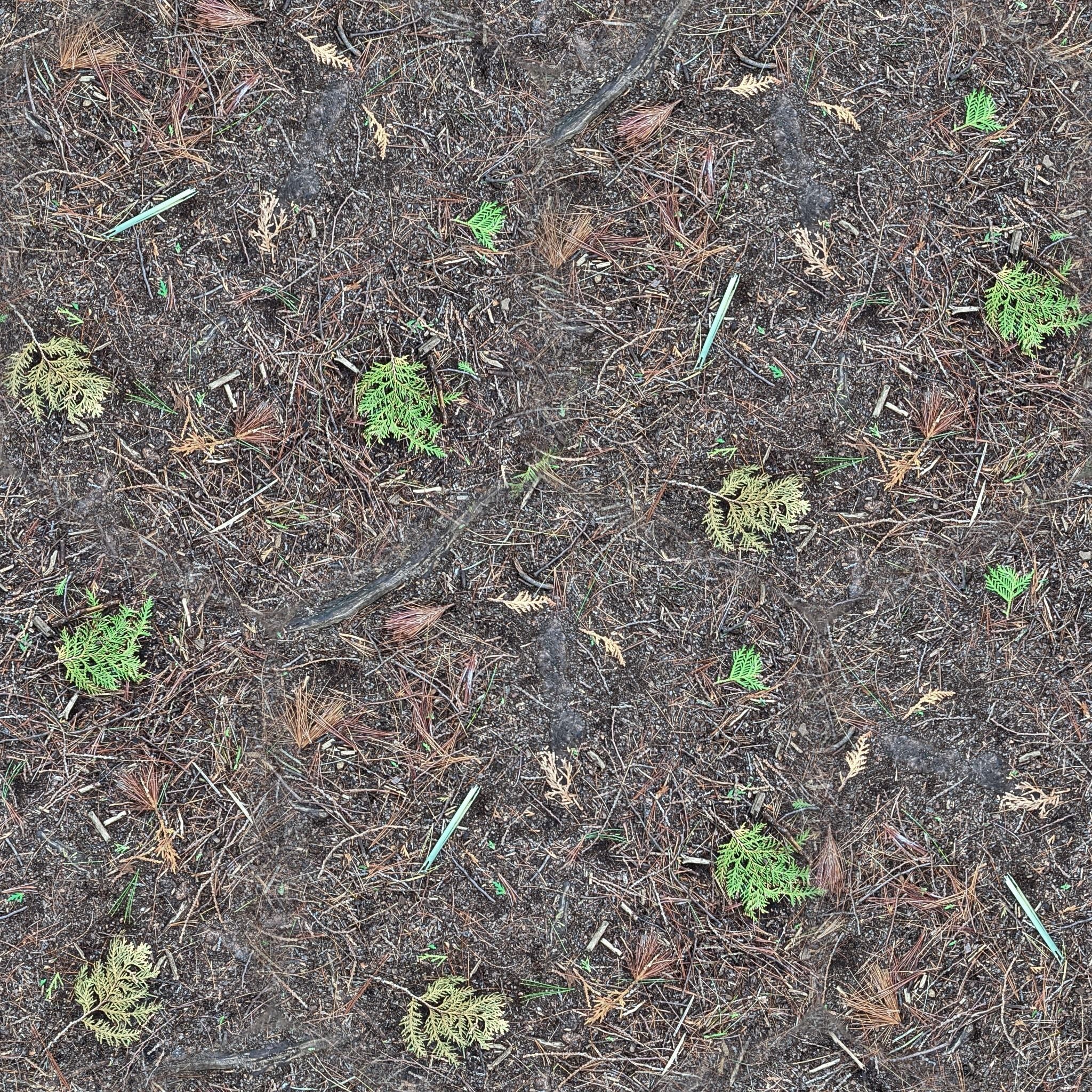 Forest Texture Asset Pack free Texture | CGTrader