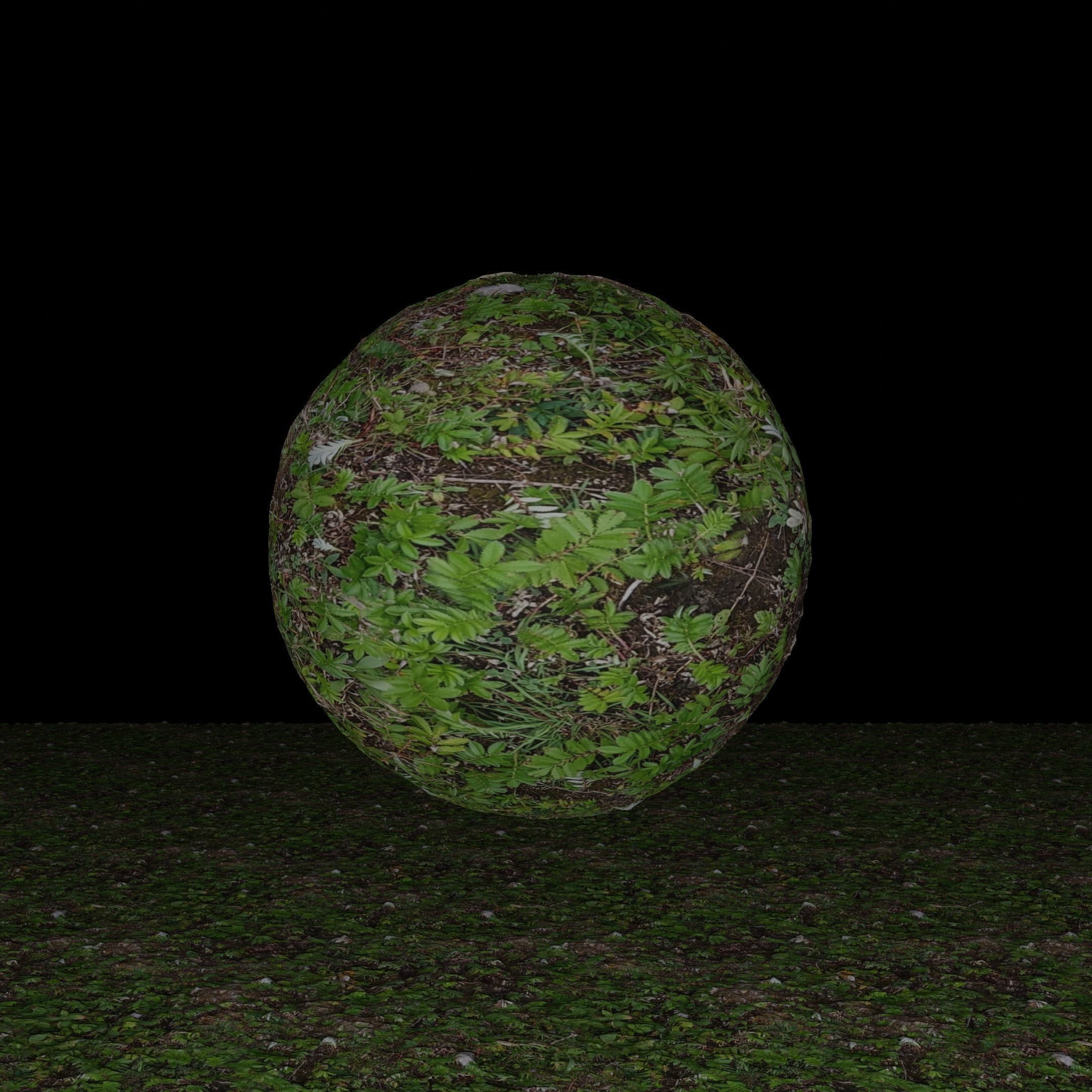 Forest Texture Asset Pack free Texture | CGTrader