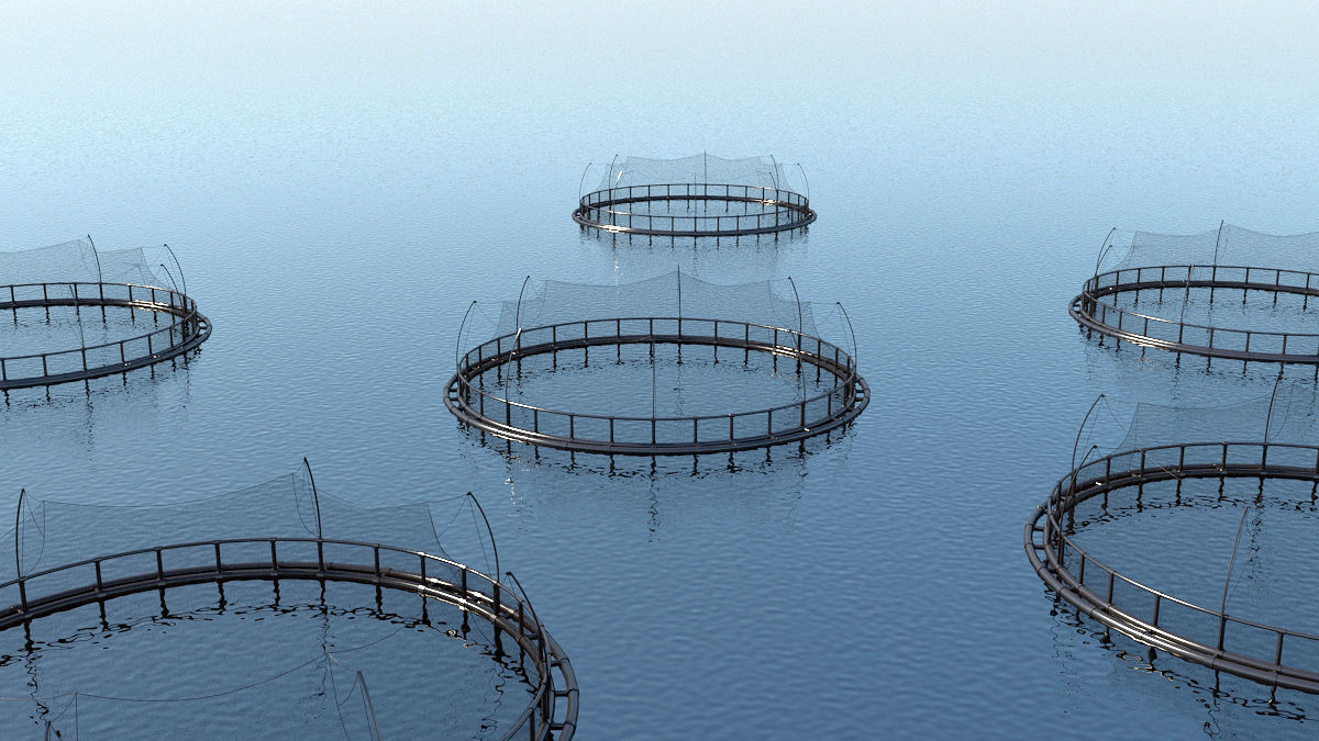 Fish farm net 3D model | CGTrader