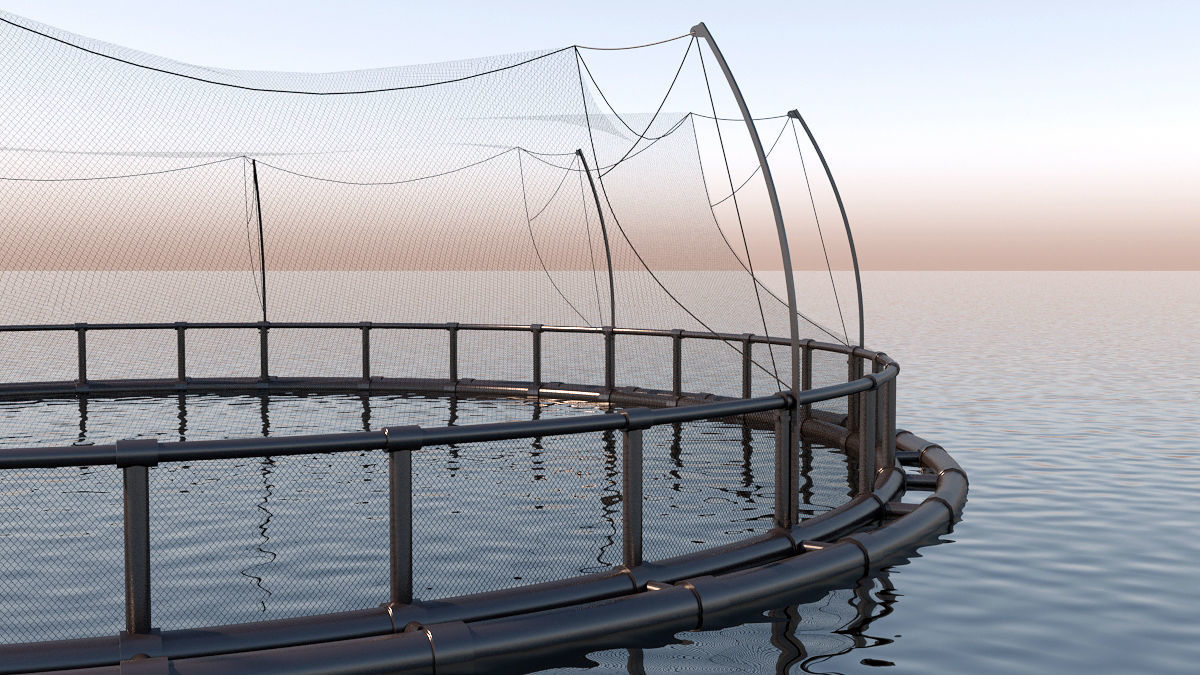 Fish farm net 3D model | CGTrader