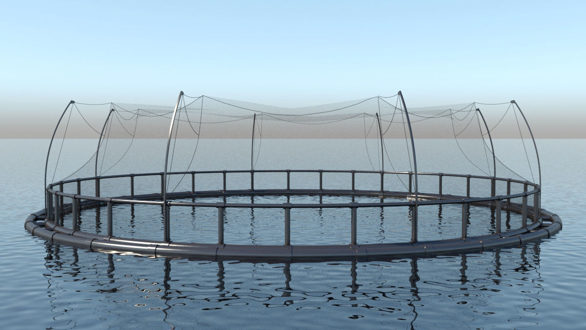 Fish farm net 3D model | CGTrader