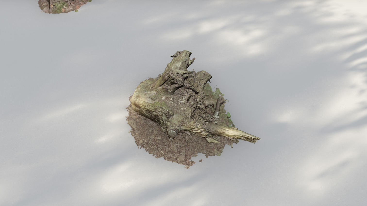 Forest Tree Root C 3D model | CGTrader