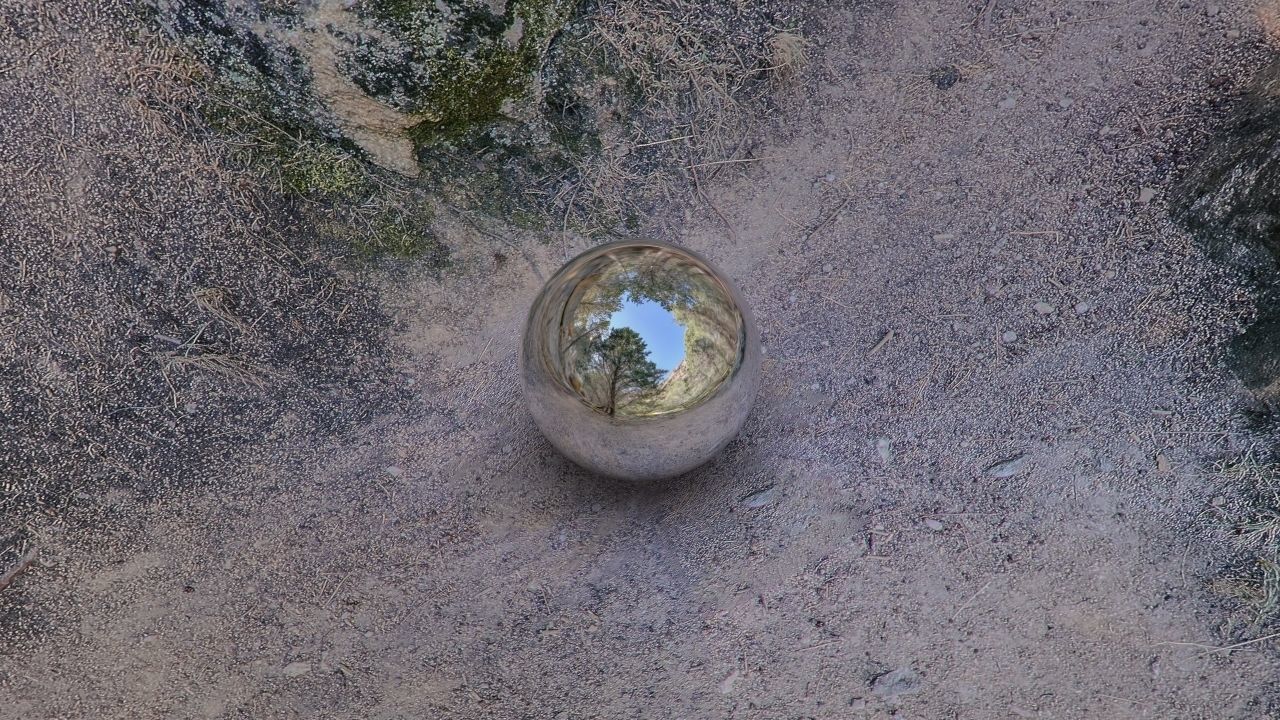 3D model HDR FOREST PATH 4 VR / AR / low-poly | CGTrader