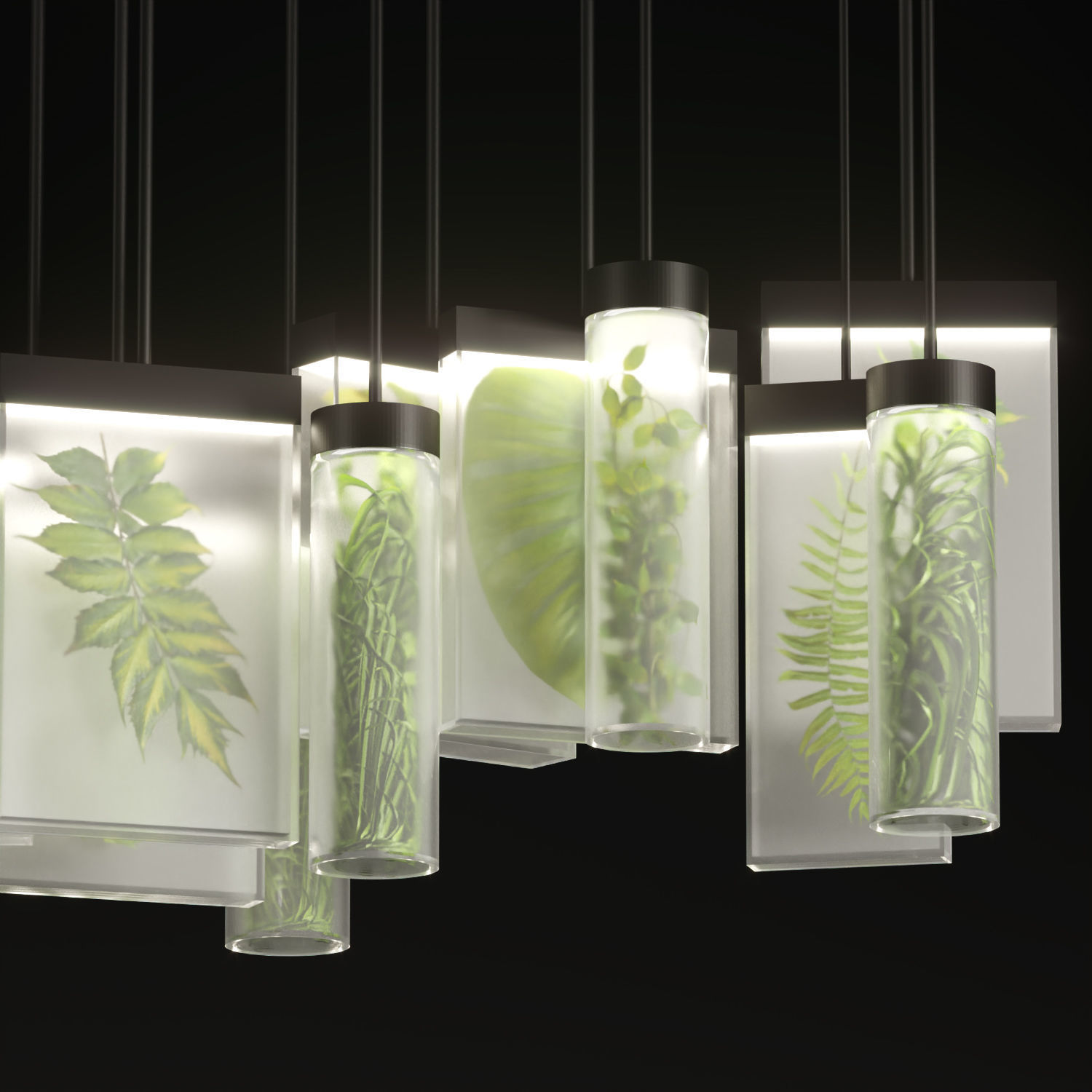 Hanging lightbox plants collection vol 141 3D model | CGTrader
