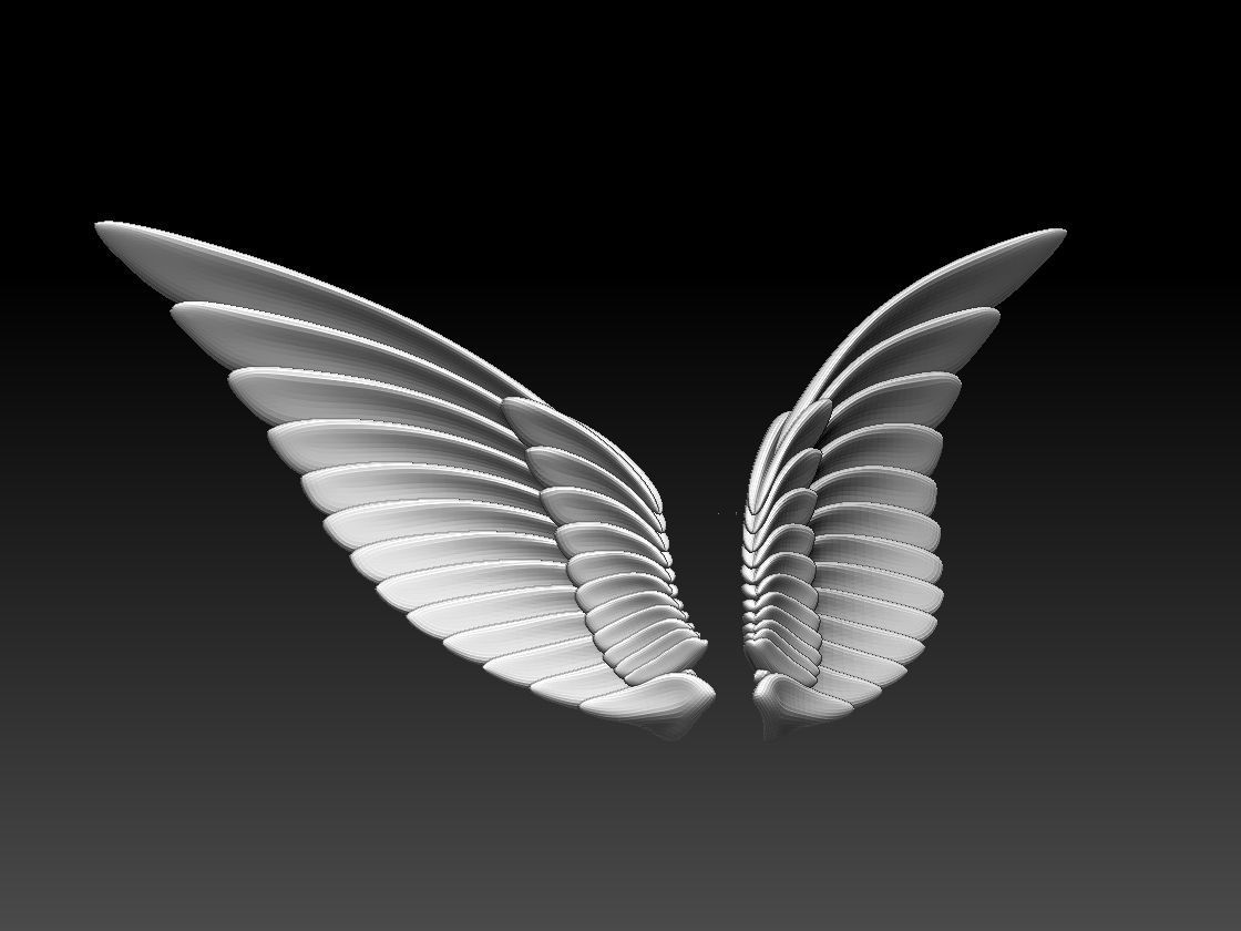 wings colorful 3D model 3D printable | CGTrader