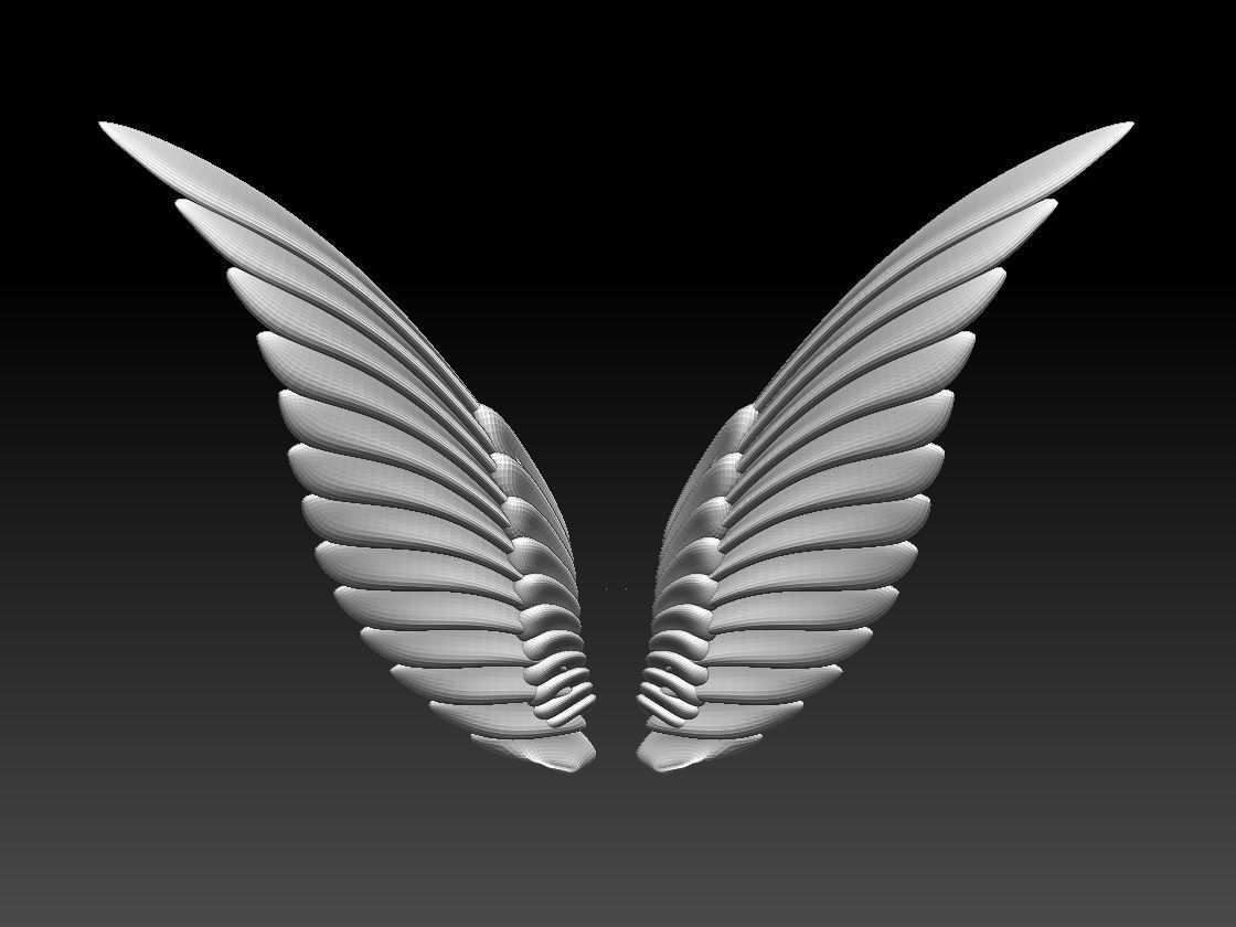 wings colorful 3D model 3D printable | CGTrader