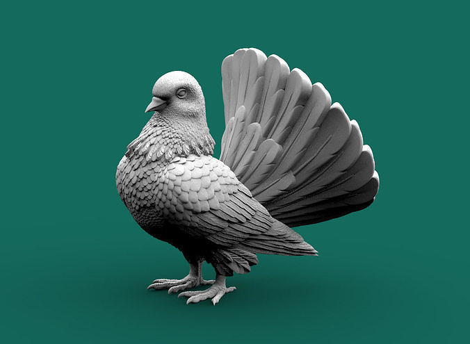 pigeon 3D model 3D printable | CGTrader