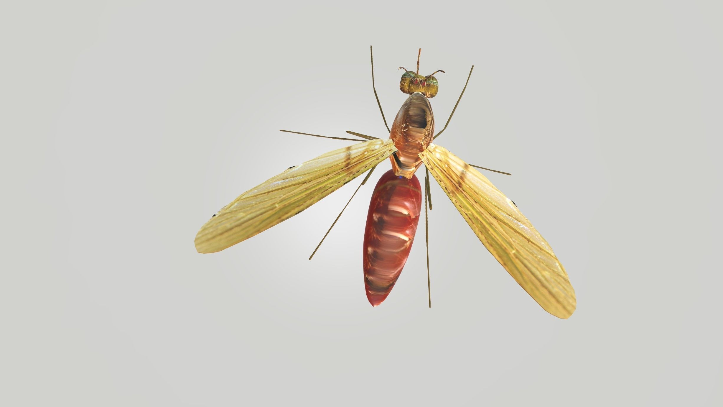 Mosquito Blood Sucked Culex 3D model | CGTrader