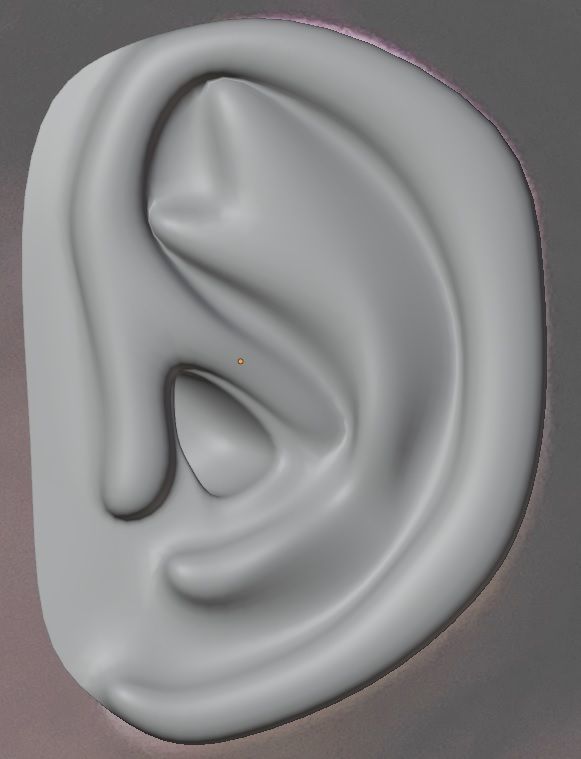 Ear 3d model base mesh 3D model | CGTrader